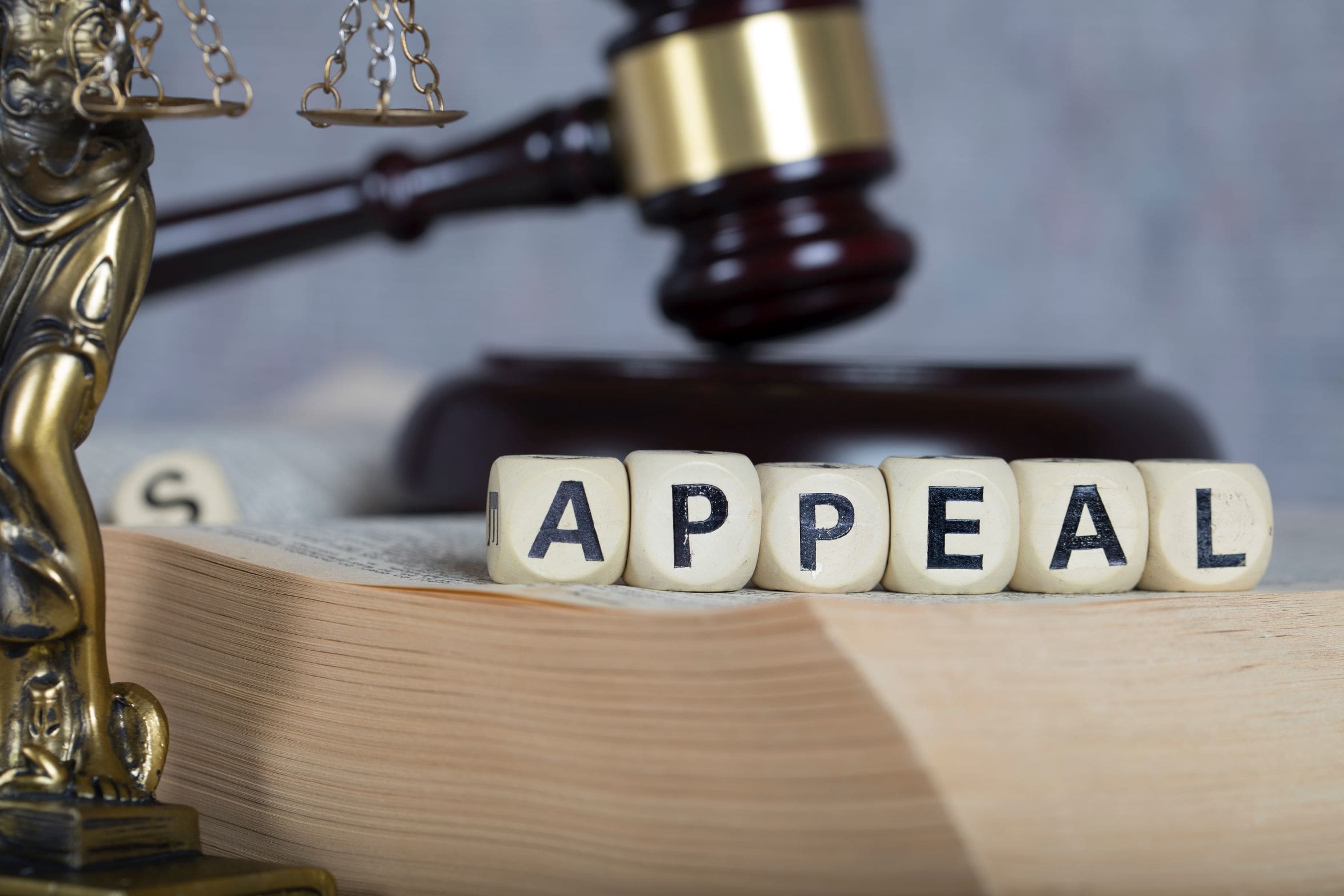 Frequently Asked Questions About the Appellate Process in Arizona ...